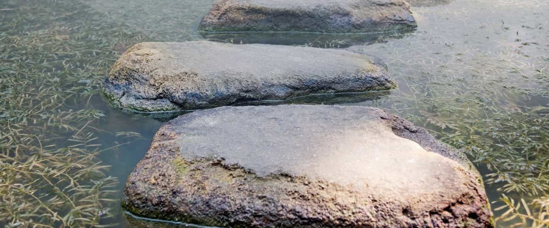 What does the 12 steps of recovery mean?