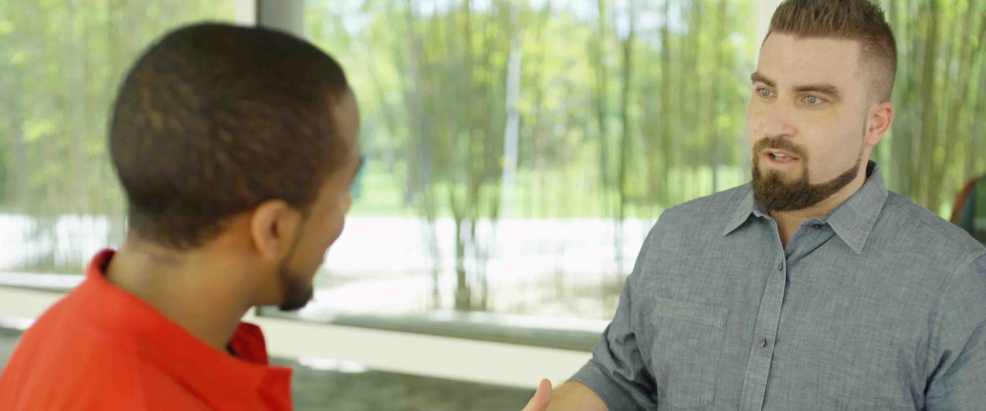 What is the 12 step promise?